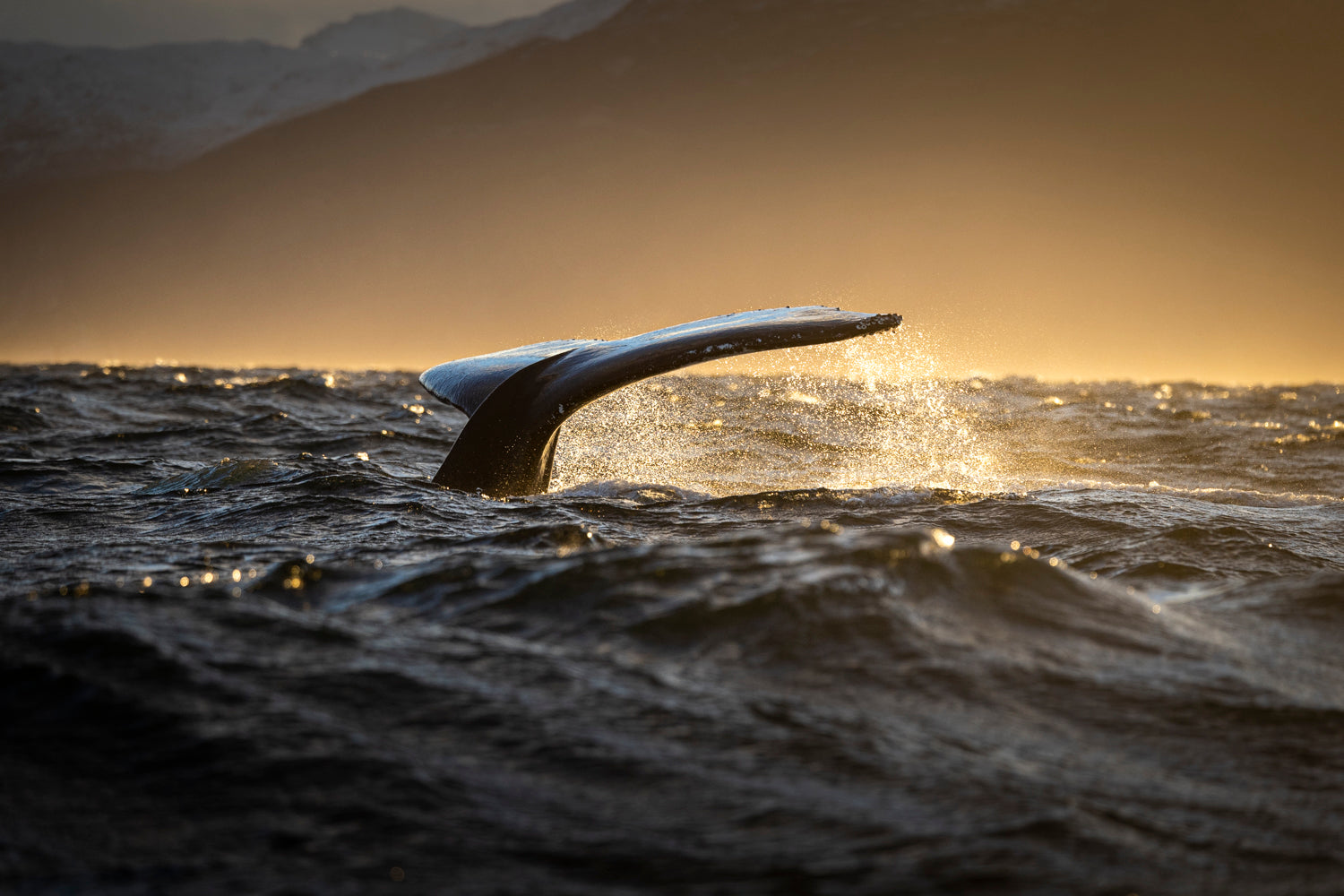 Photographies marines – Collection MER par Stéphane Granzotto